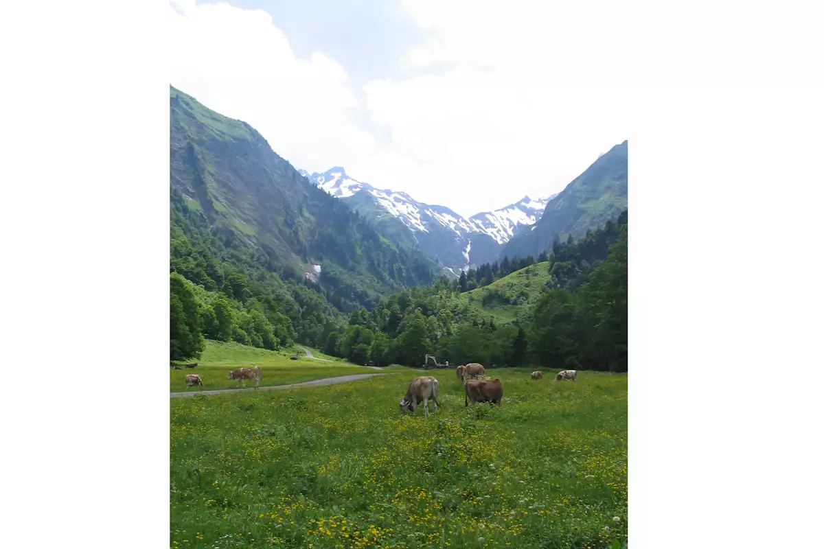 Mountain Hostel Spielmannsau in Oberstdorf